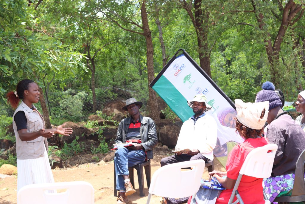 MUSASA – Organisation Against Gender Based Violence